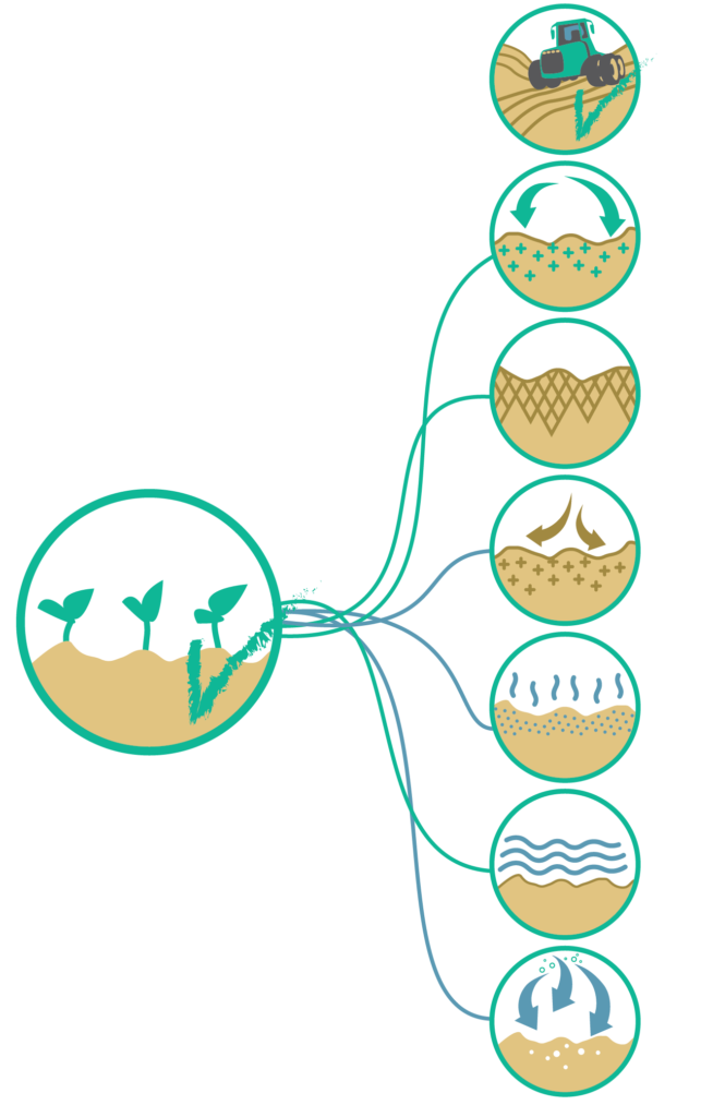 DIGESTATE – Bartels Environmental